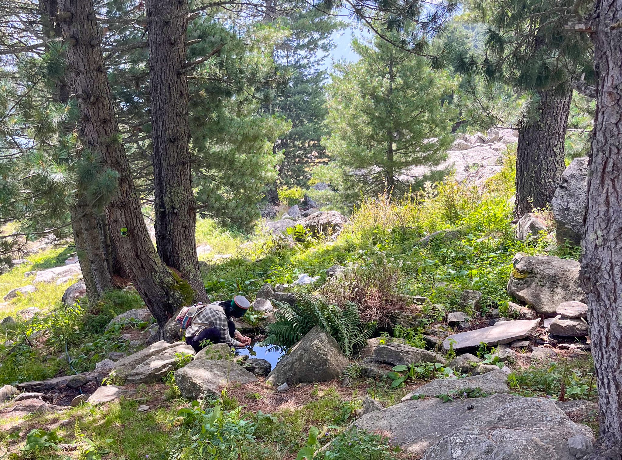 Naagas: an age-old water conservation belief system of Kinnaur - Voices ...